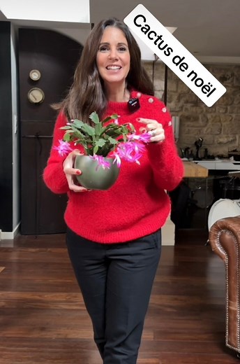 Le Cactus de Noël : La Plante Magique des Fêtes Facile à Multiplier Le cactus de Noël, est une plante tropicale magnifique qui fleurit pendant la saison froide. Voici comment le bouturer facilement, l’entretenir et le faire fleurir avec quelques astuces simples. #cactusdenoel #bouturage #astucejardin #plante #carolinemunoz #astuce #shlumbergera | Caroline Munoz