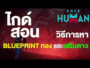 Once Human วิธีการหา Blueprint ทอง และการเสริมดาว