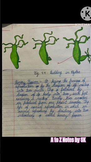 Class 8 Science | Chapter-6 Reproduction in Animals | NCERT Exercises | #atoznotesbysk