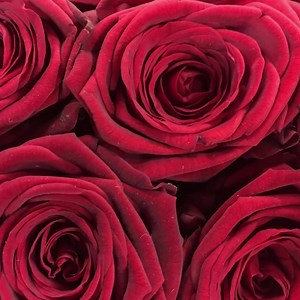 Quilted Octagon Table Topper PDF Quilt Pattern - Etsy