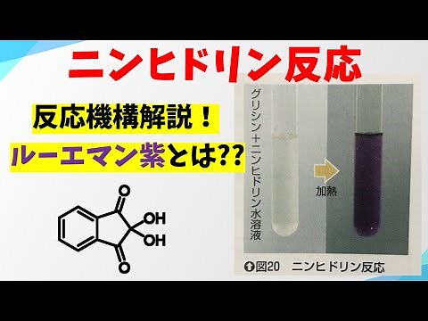 ニンヒドリン反応の反応機構