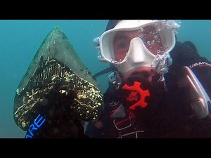 Is this our Rarest Discovery of 2021!?!? (AND NO, It's NOT the Megalodon Tooth)