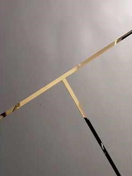 biometric design# new design Royal Play