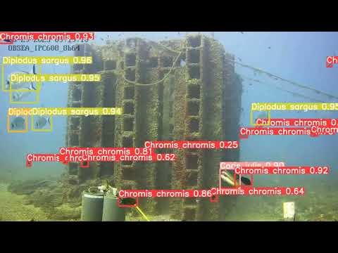 AI-based fish detection and classification trials at OBSEA