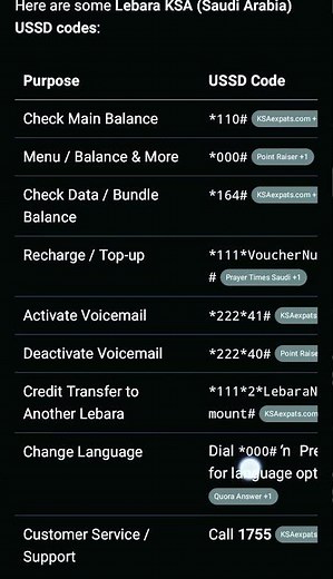 lebara sim internet packages check