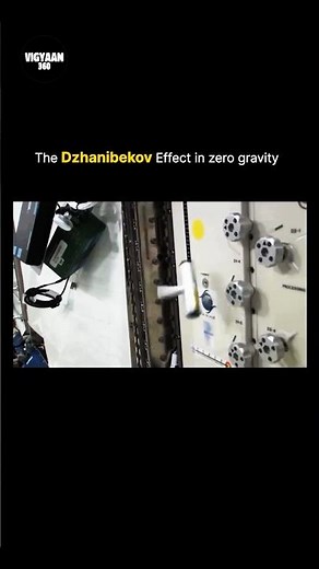 The Dzhanibekov Effect Explained in Zero Gravity