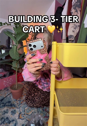 Deciding Between Crafting and Tech Uses for My Cart