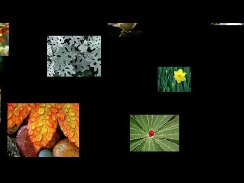 Front Row SwiftUI recreation progress update: 3D floating Photos screen saver recreated