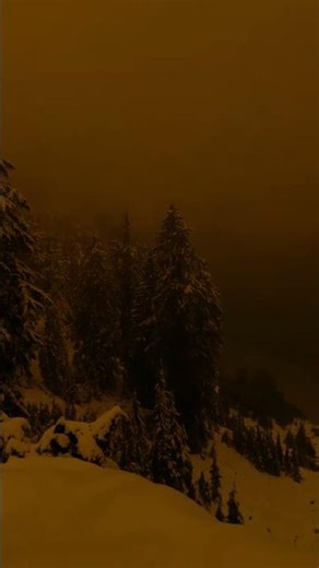 A channel with backgrounds and source files from tg:frenzy_love #snow #aesthetic #snowfall #nature