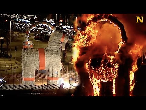 Goat Gets Burned Down Every Year!🐐🔥