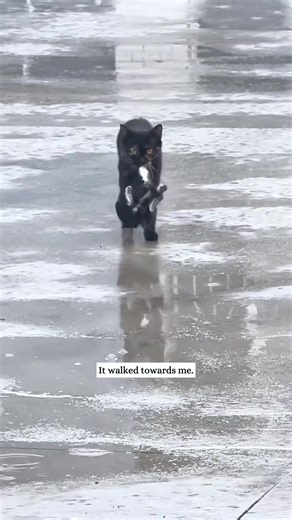 1.5M views · 14K reactions | The real miracle begins in Part 2 – don’t miss it: https://trnews.huongrung.net/349/24/ | Lauren Morrison Motor Week | Facebook