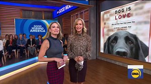 46K views · 261 reactions | PUPPY LOVE! A new book breaks down the science behind our relationship with our dogs.  gma.abc/2kZrVEQ | Good Morning America | Facebook