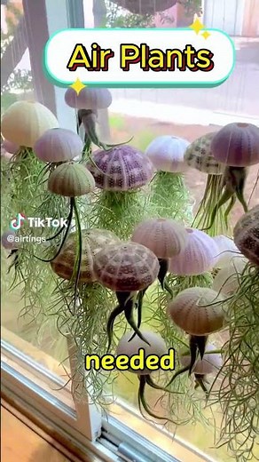 5 Plants That Grow in YOUR SHOWER! 🚿 (High-Humidity Heroes!)