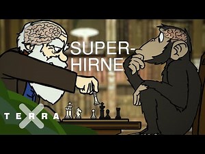 So intelligent sind Tiere