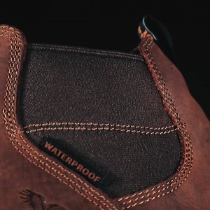 4.4K views · 112 reactions | Fly like an eagle* in the Georgia Boot...