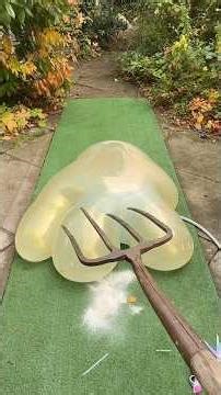 Inflating a Tiger with Water!💦