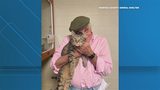 Some heartwarming stories. | WUSA 9