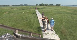 Protected Montreal islands now open to the public