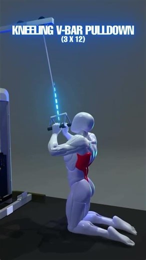 Want a wide back, powerful back?..4 moves:wide grip row,V-bar pull,seated row,bent over row #workout