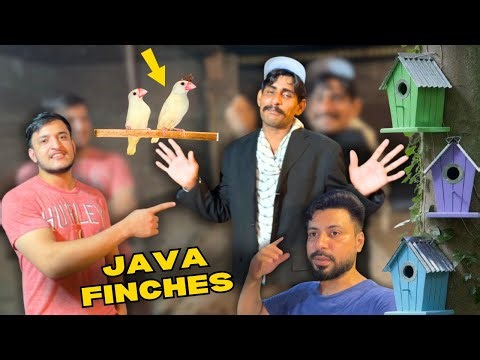 Asif Nay Fitness Challenge Accept Kar Lia 😍🤩🥰