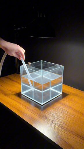 Everything I did to build this filterless no co2 2 gallon nano planted aquarium cube. I started off with doing a 24 hour leak test. Then I added a layer of crushed lava rock and put aquarium soil on top. Once the tank was set up, I did a water change about once a week and did a big trim and replant every 2 months. #aquarium #plants #fishtank #aquascape | Nanoscape