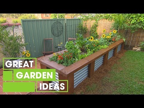 Getting Started with a Veggie Patch | Gardening | Great Home Ideas