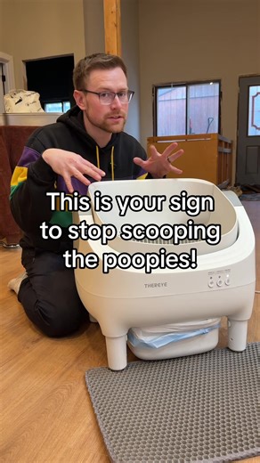 Say Goodbye to Scooping with Automatic Cat Litter Boxes