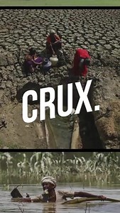 While making unscientific claims Trump stated that trees explode after becoming dry. He said that trees fall after a short period of about 18 months because of aridity. He further added that poor maintenance of forest areas makes them more combustible. | News18