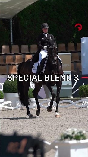 Isabell Werth im Fokus bei den Deutschen Meisterschaften!🔎