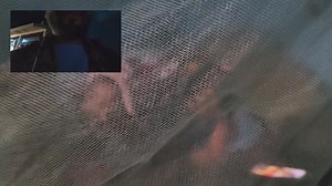 #musician #picturechallenge #artist #photography #blogging 😘 good morning | Barsha Kumari Barsha Kumari