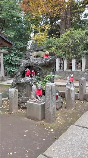 ✨ Nezu Shrine Kitsune Statues in Tokyo Japan | Inari Fox Messengers 🦊⛩️