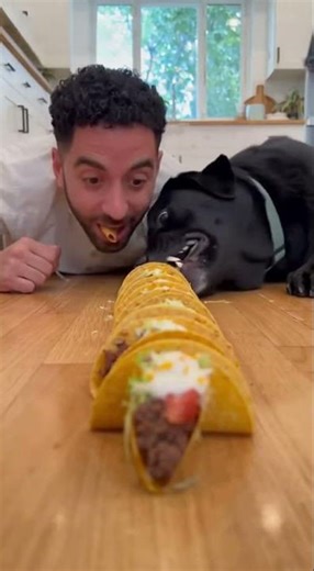 The funniest taco challenge ever 😂🐾