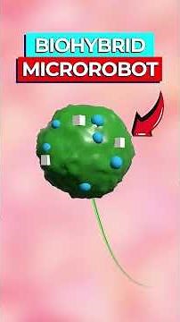 Scientists Create Tiny Robot To Deliver Medicine to Organs