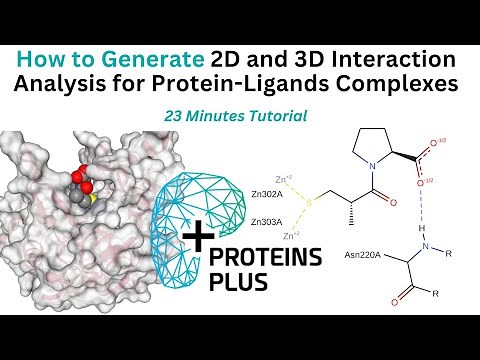 How to generate 2D and 3D Interaction Analysis Images for Protein-Ligand Complexes
