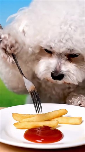 This Bichon’s trying to dip a fresh fry in ketchup is the cutest thing ever! #dog #asmr #ai #mukbang #cute