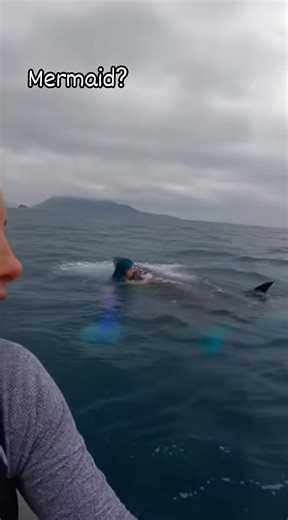 2.2M views · 10K reactions | Mermaid under the shark attack while...