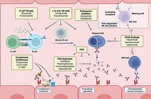Antibody-mediated rejection—treatment standard