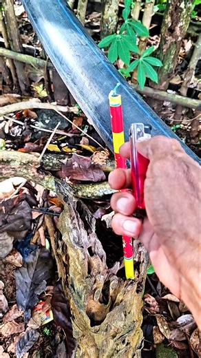 light unique fireworks #trendingshorts