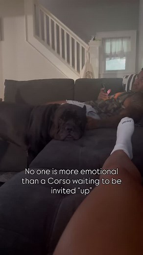 There’s plenty of space so idk why he’s moping at me😂 | Emily Banerjee