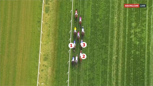 35K views · 211 reactions | Have a look at this ride from Joao Moreira!  Incredible!  | Racing.com | Facebook