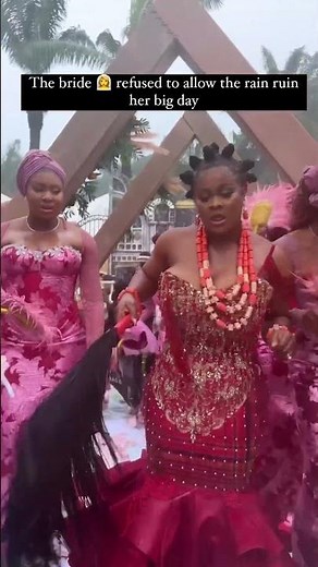 Epic igbo traditional wedding/african wedding/african traditional wedding/2023 bride #viralwedding