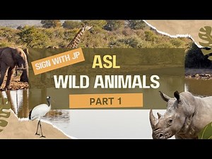 🦁 ASL Wild Animals | Part 1: Learn Animal Signs from the Wild! 🐾🌿