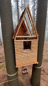 Building a Suspended Log Cabin in the Misty Forest! 🌲🌫️ We built this high up between two giant pine trees. The view of the fog from up there is unforgettable. 🪜 Would you be brave enough to climb that ladder and sleep here alone? Tag a friend who is afraid of heights! 👇 #woodworking #treehouse #cabinlife #foggy #misty #survival #bushcraft #architecture #offgrid #scary | Primeval Architecture