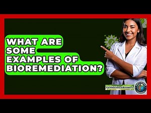 What Are Some Examples Of Bioremediation? - Earth Science Answers