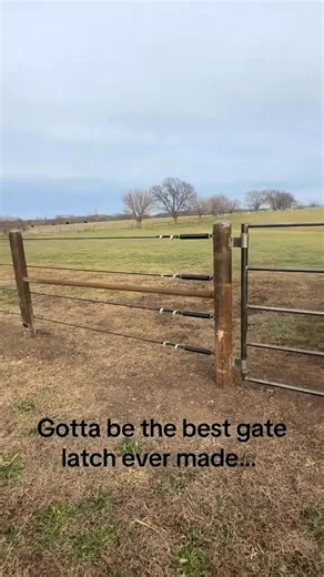 The spring-loaded latch locks instantly the moment the gate shuts. This reliable mechanism prevents accidental openings and keeps animals safely enclosed, giving you peace of mind. | Anniversaryk.com