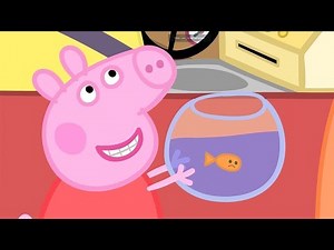 Kids TV and Stories | Goldie the Fish | Peppa Pig Full Episodes