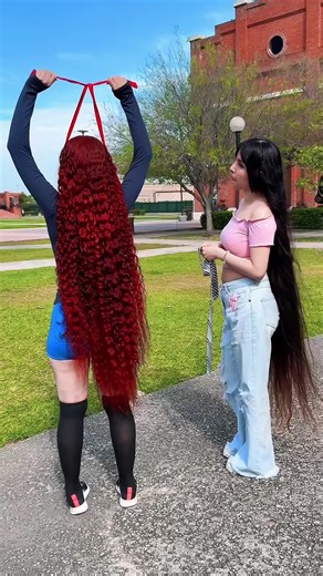 Understanding Web Trends Through Reddit Queries