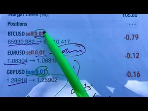 Lot Sizes in Forex: A Beginner's Guide to Calculate and Use Lot Size