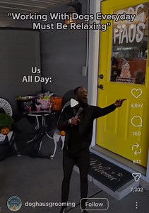 Your dog has anxiety, what do you do to overcome it? Build confidence, of course! Creating boundaries for allowable behaviors is the number one thing I recommend to help you do so. Having structure through leadership will be a critical component to helping your dog's mental health. - Stop allowing your dog to roam while on walks or while visiting places. Sniffing everything causes unnecessary stress and worry about who has been there, who might return - the head starts swimming in questions that
