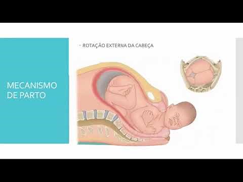 Mecanismo do Parto